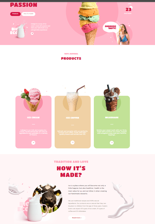 Corina Gavrila's Portfolio